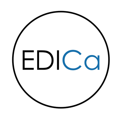 Research grant call on behalf of the Equality, Diversity and Inclusion ...