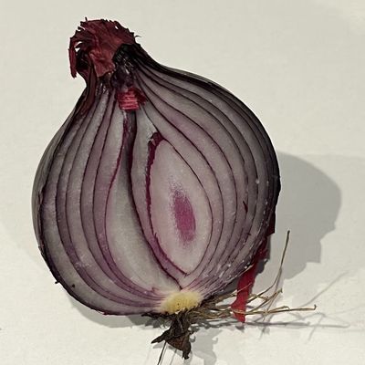 New YouTube Channel on Research Methods by Professor Mark Saunders FBAM