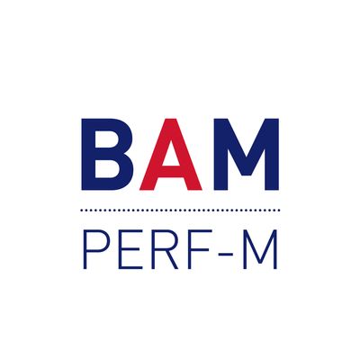 BAM Performance Management SIG Event Report - Sustainability-related ...